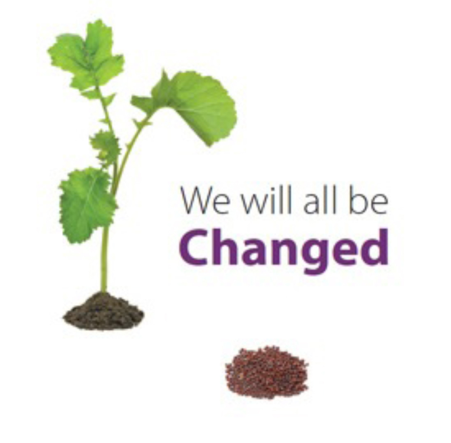 Week of Prayer for Christian Unity | Latest News from the Church of ...