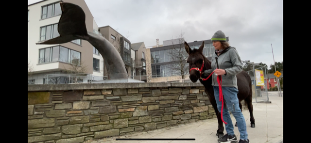 image7 | Latest News from the Church of Ireland Diocese of Cork, Cloyne ...